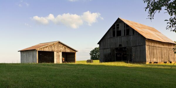 Metal vs Wood Shed - Pros & Cons | American Steel
